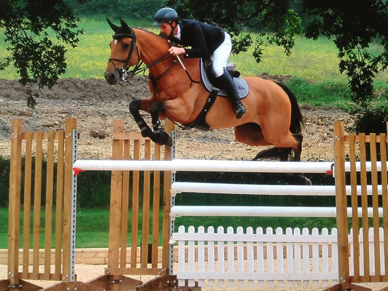 Asulina *1995 v. Libero H - Calypso II